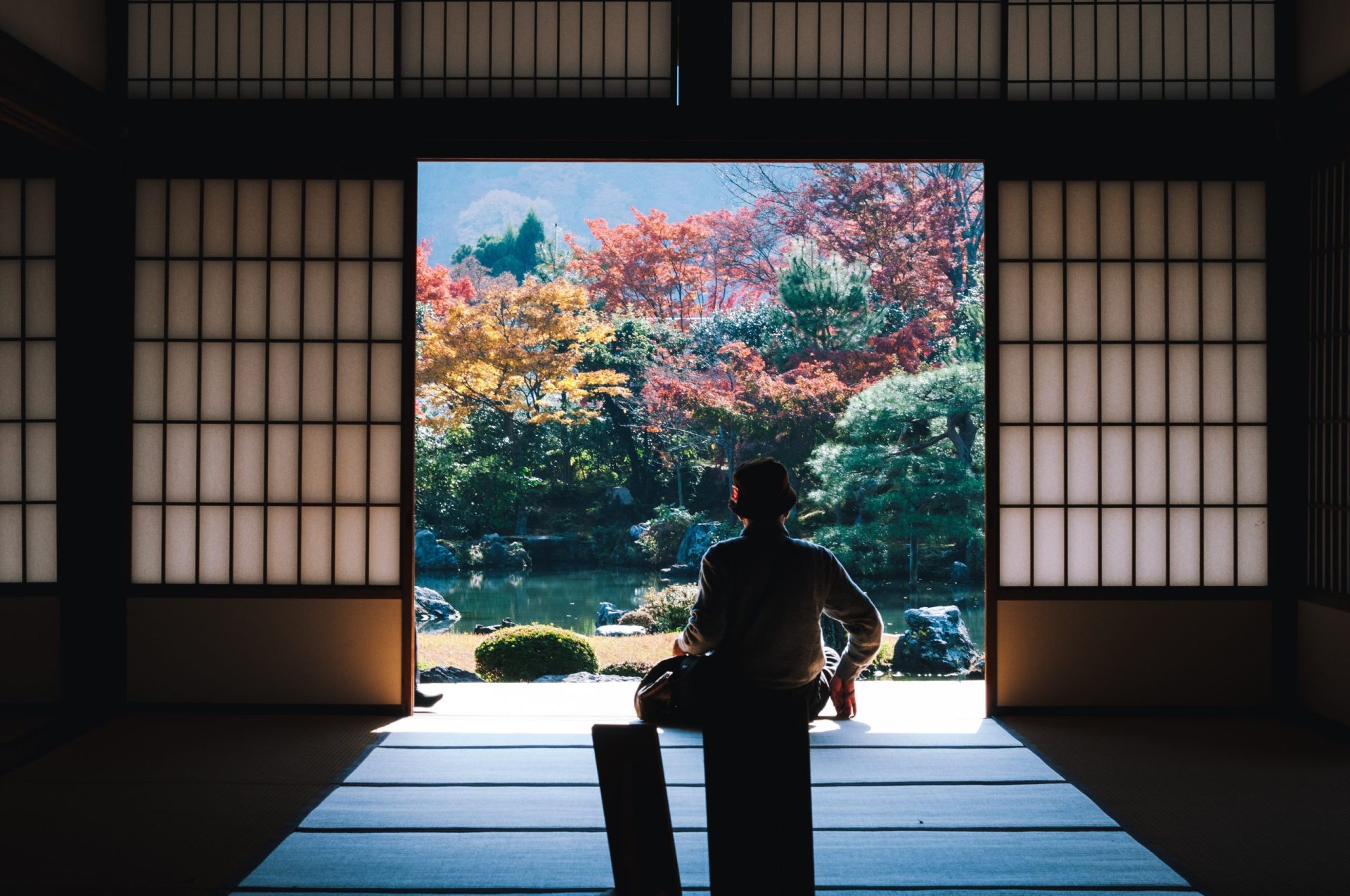 Ikigai: A Path to Purpose and Balance